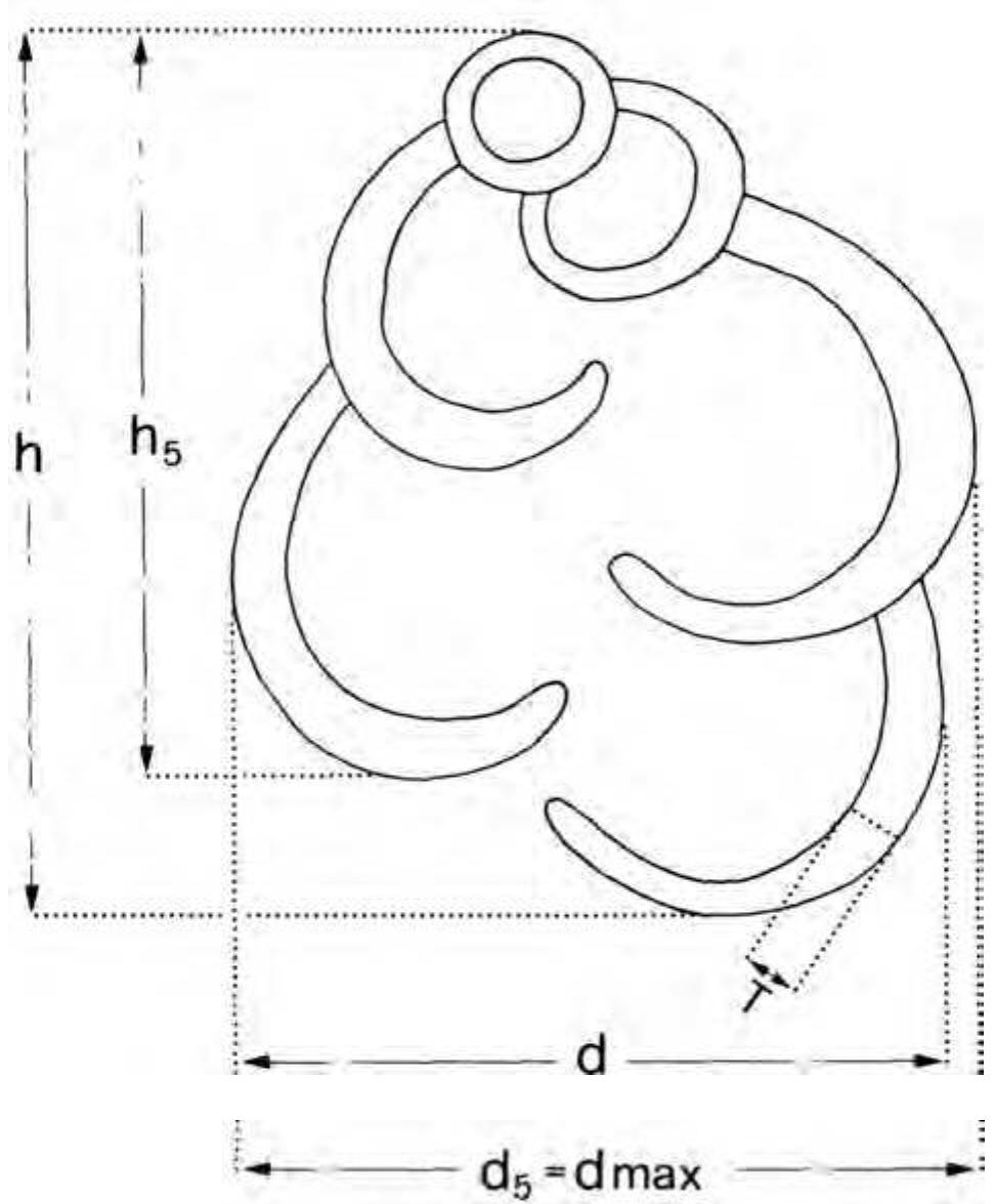 Schematic drawing showing the position of measure- ments in