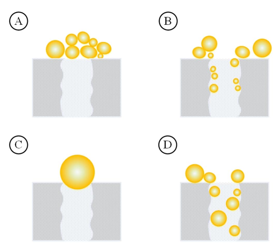 Schematic representation of filtration model: (a) cake