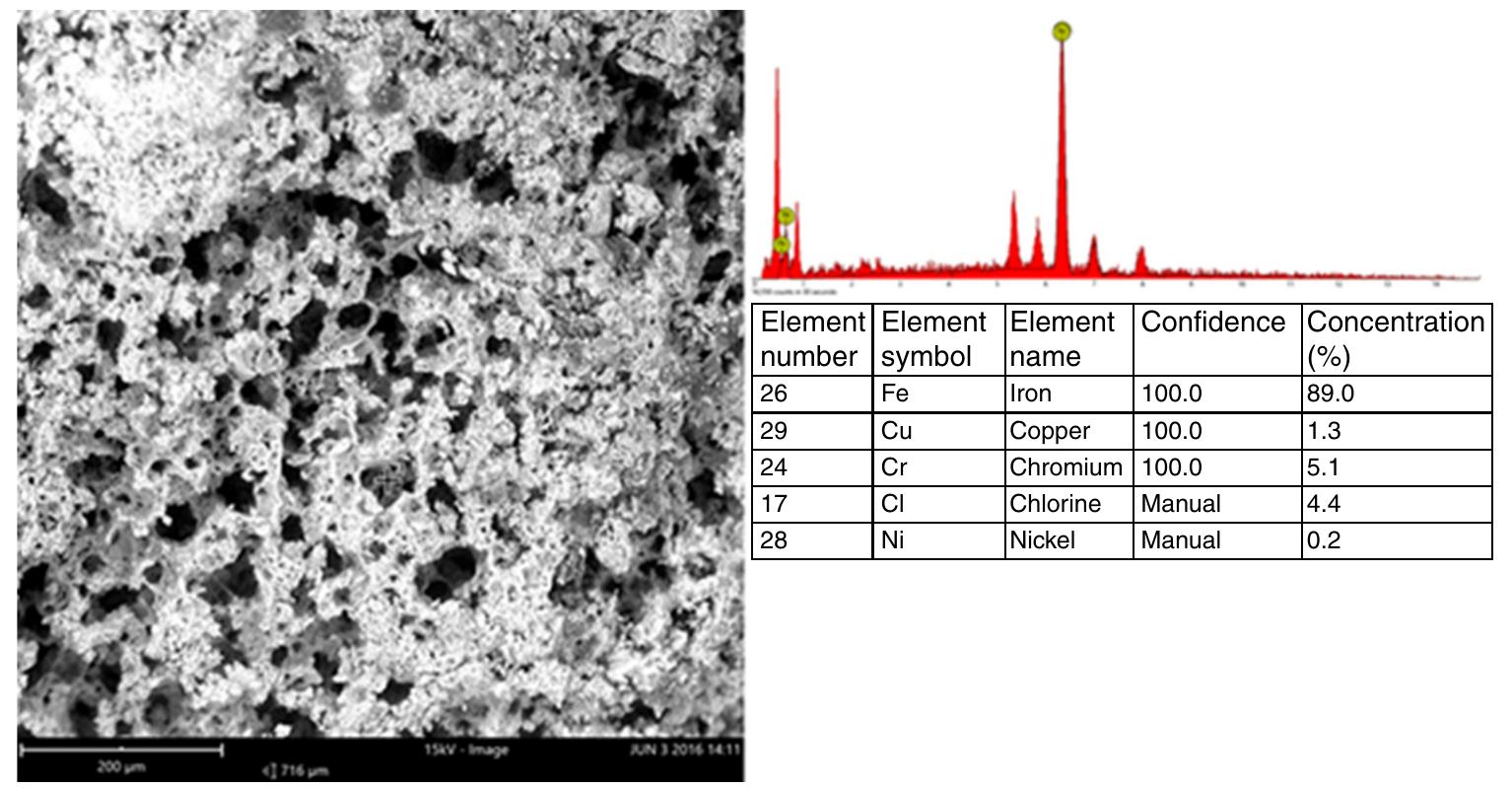 - micrograph of scanning electron microscopy and energy
