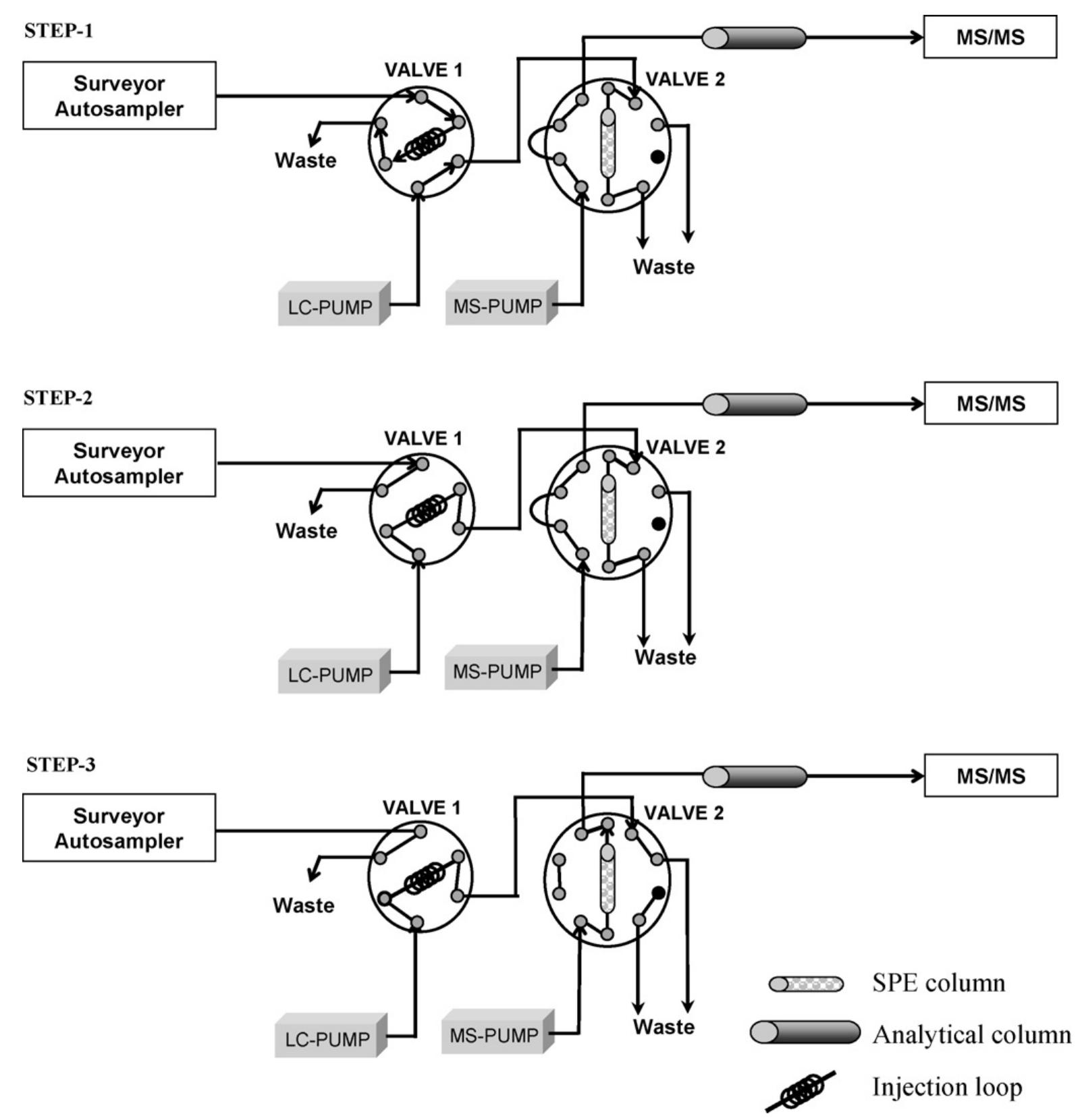 Schematic diagram of the tandem lc-ms/ms system. sampling