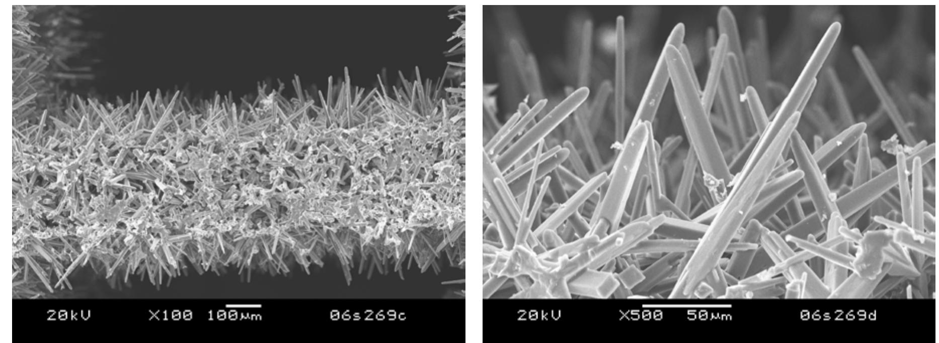 Sem images of acm filter wall cross-section dpfs based on an