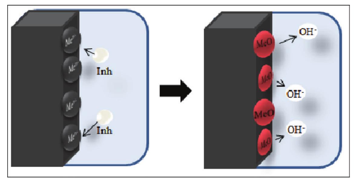 [2 2 schematic representation of inhibition process.