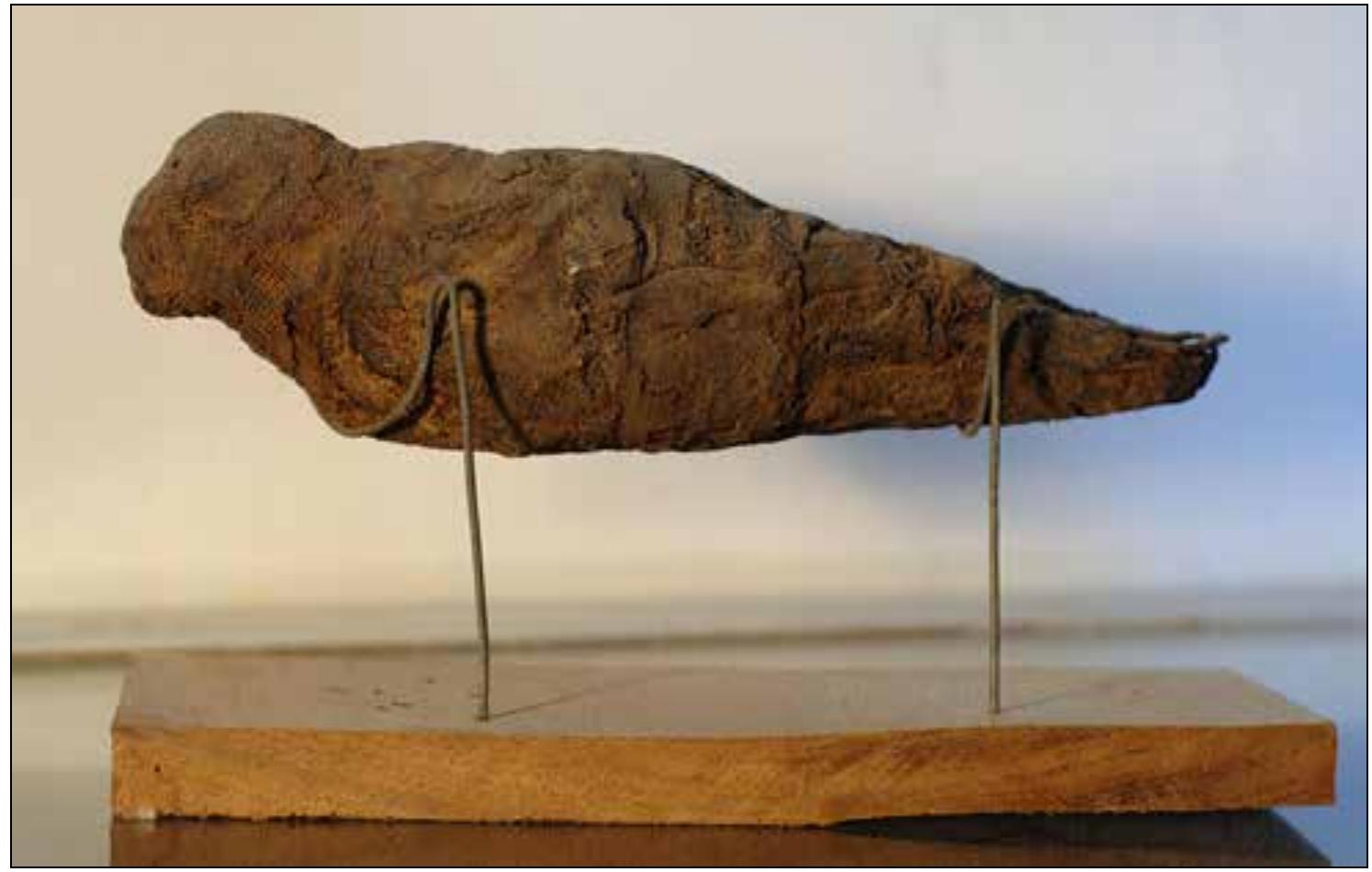 Figure 2 - from Raptors and Falconry in Malta: Culture,