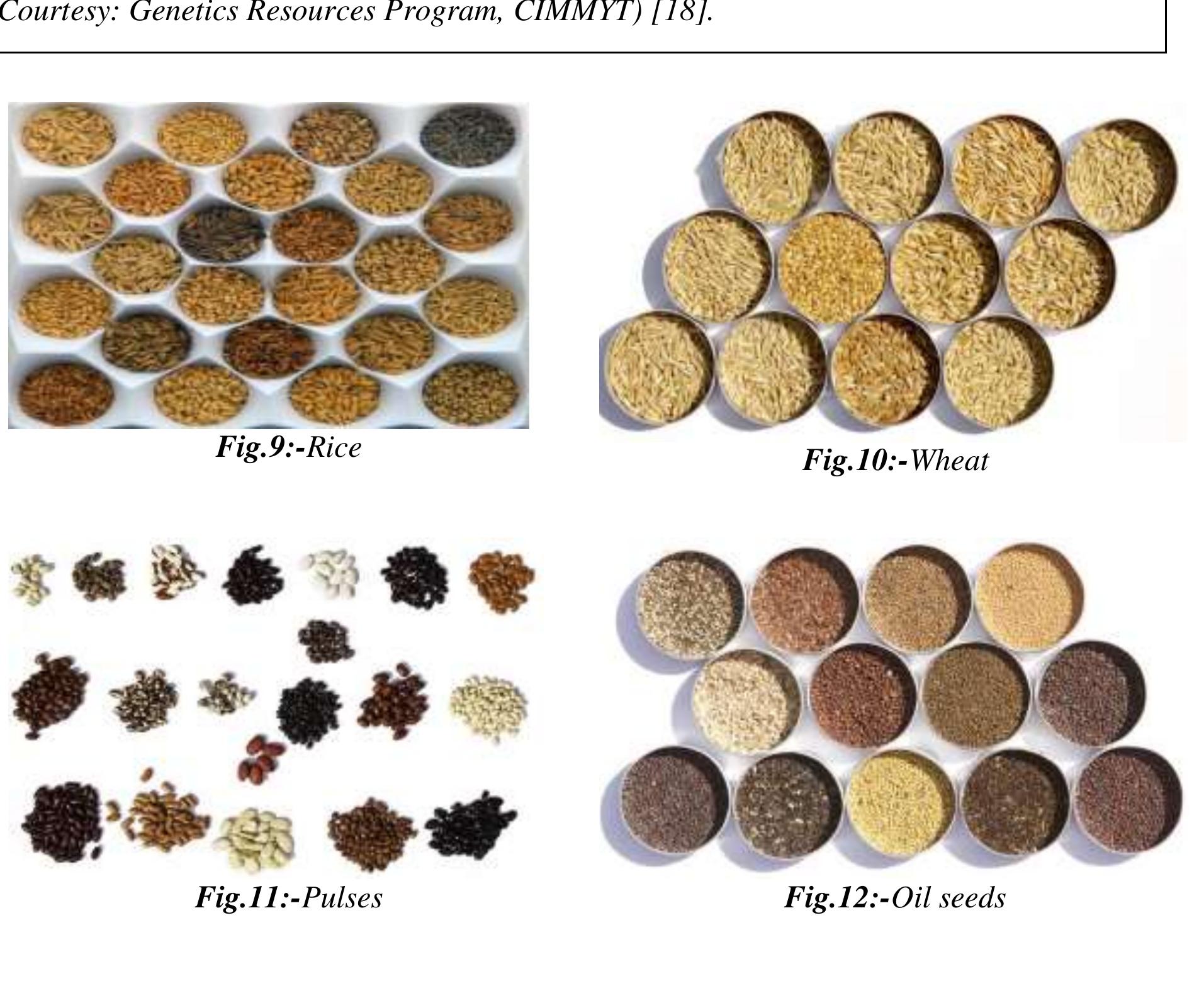 Figure 8 - Role of Seed Banks in the Conservation of Plant
