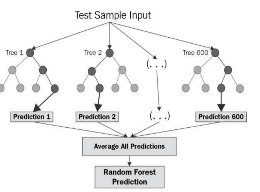 Random forest working model
