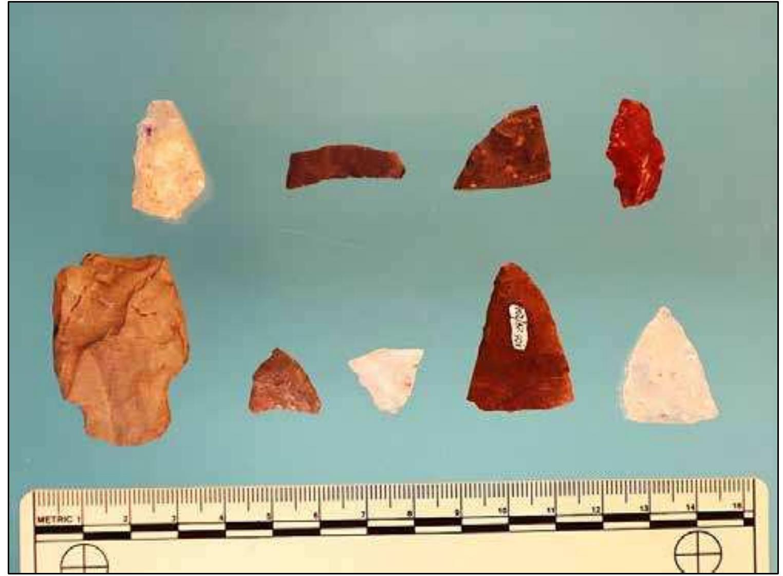 Figure 3 - from Continuity and Variability in Lithic Use