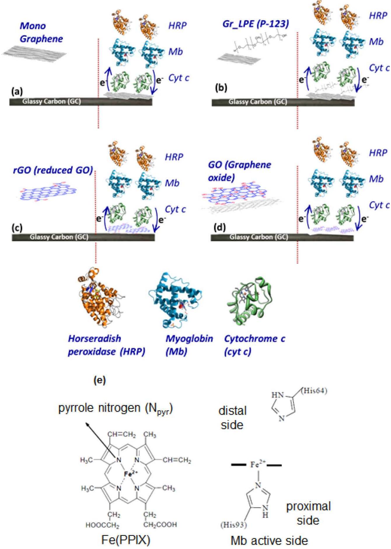 Schematic of graphene-family nanomaterials namely, (a)