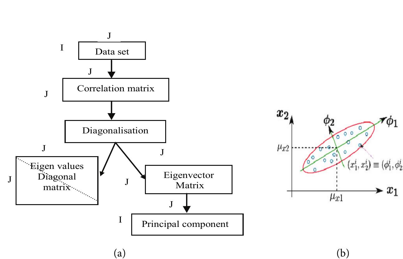 (a) summary of principal component analysis (pca) and (b)