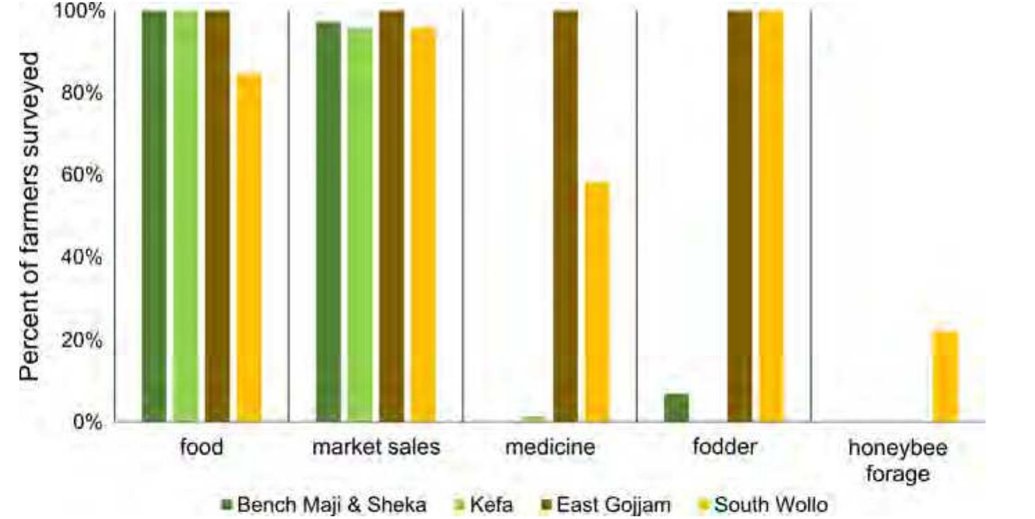 Use of common bean by farmers in four administrative zones