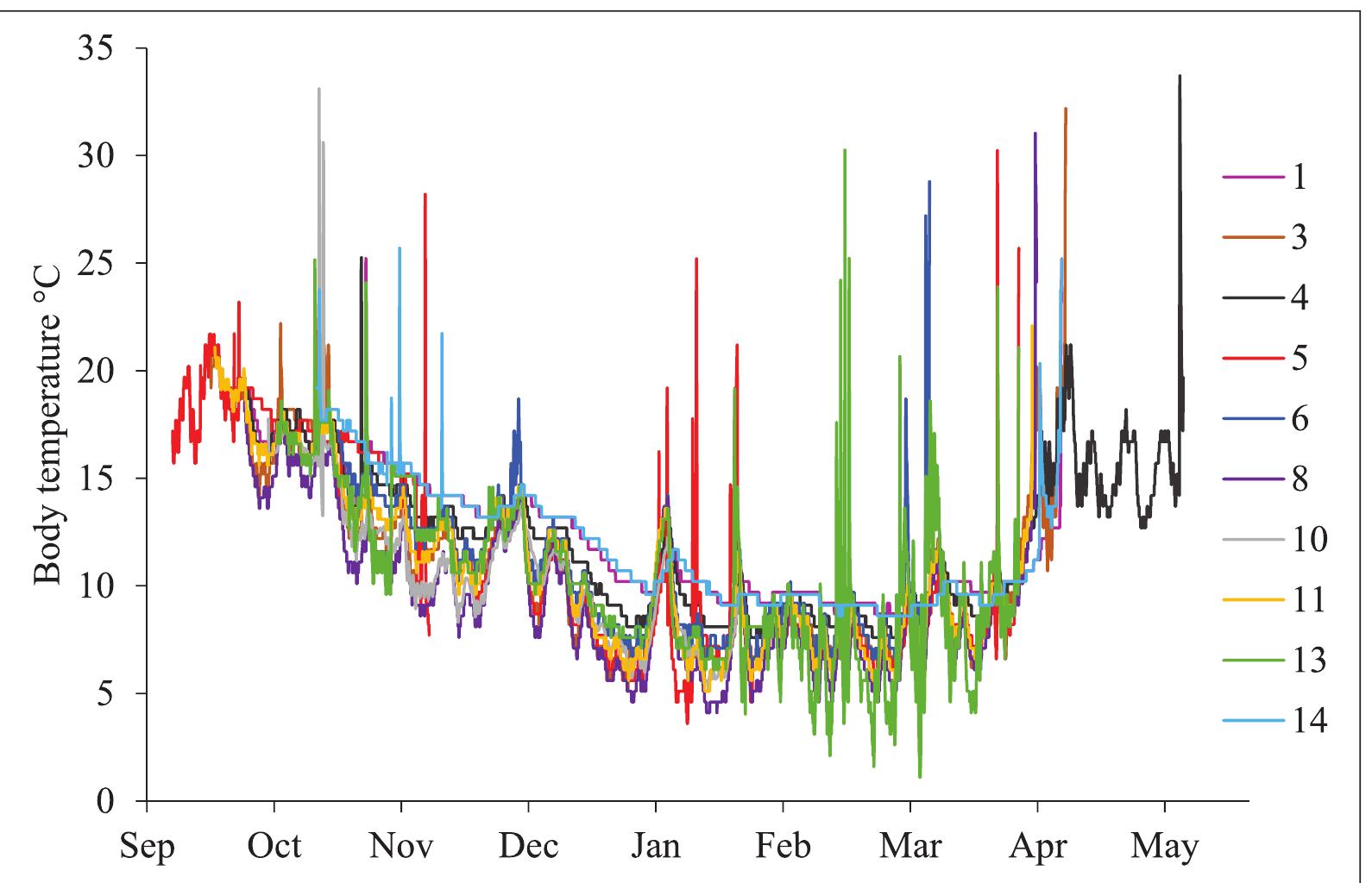 Fic. 3. body temperature profiles of 10 crotalus horridus