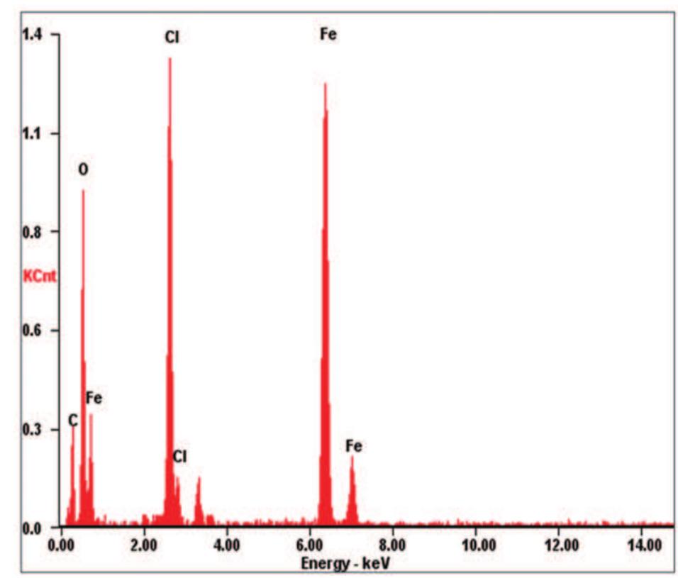 Scanning electron microscope image of §-iron oxide