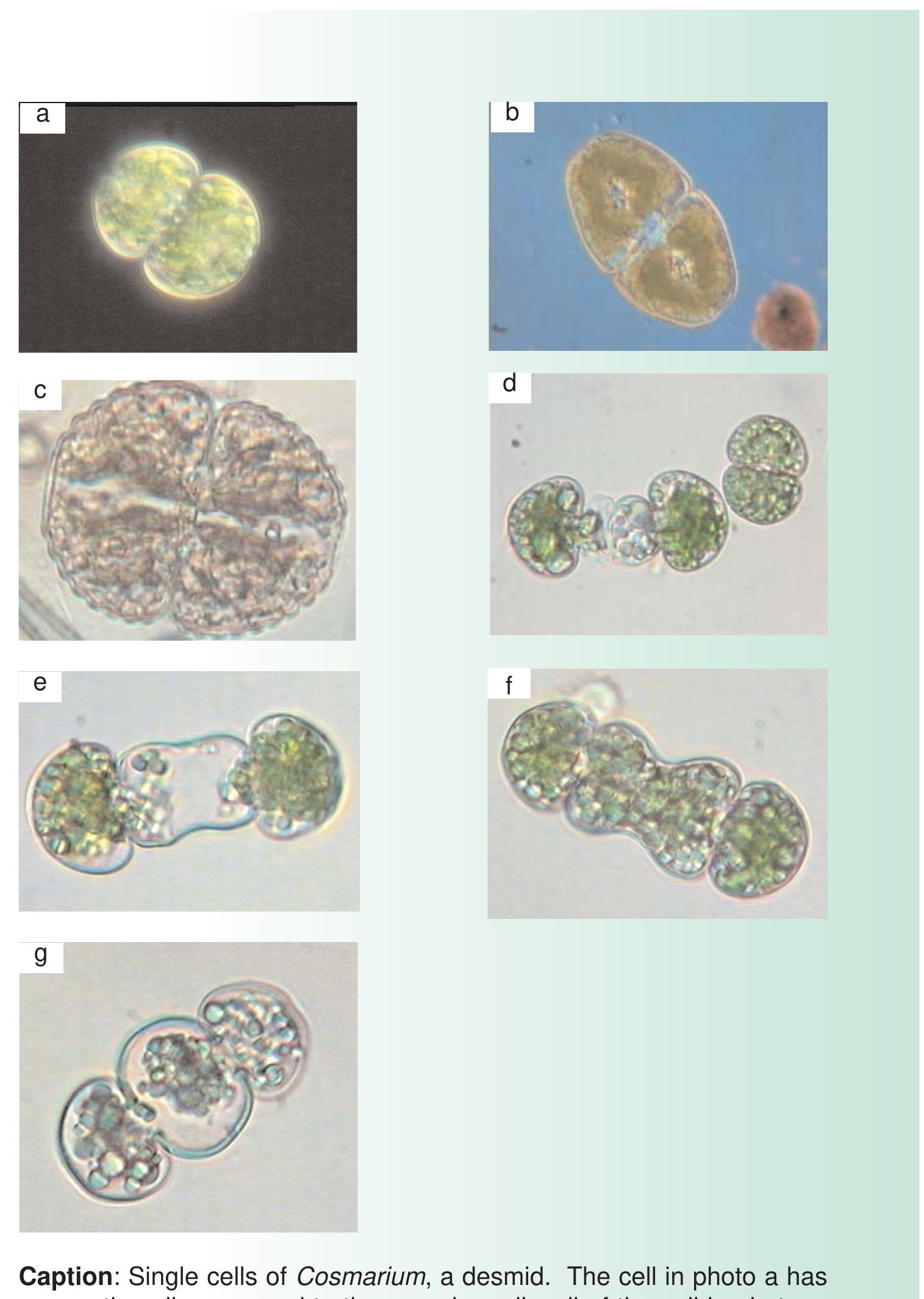 Figure 123 - Easy identification of the most common