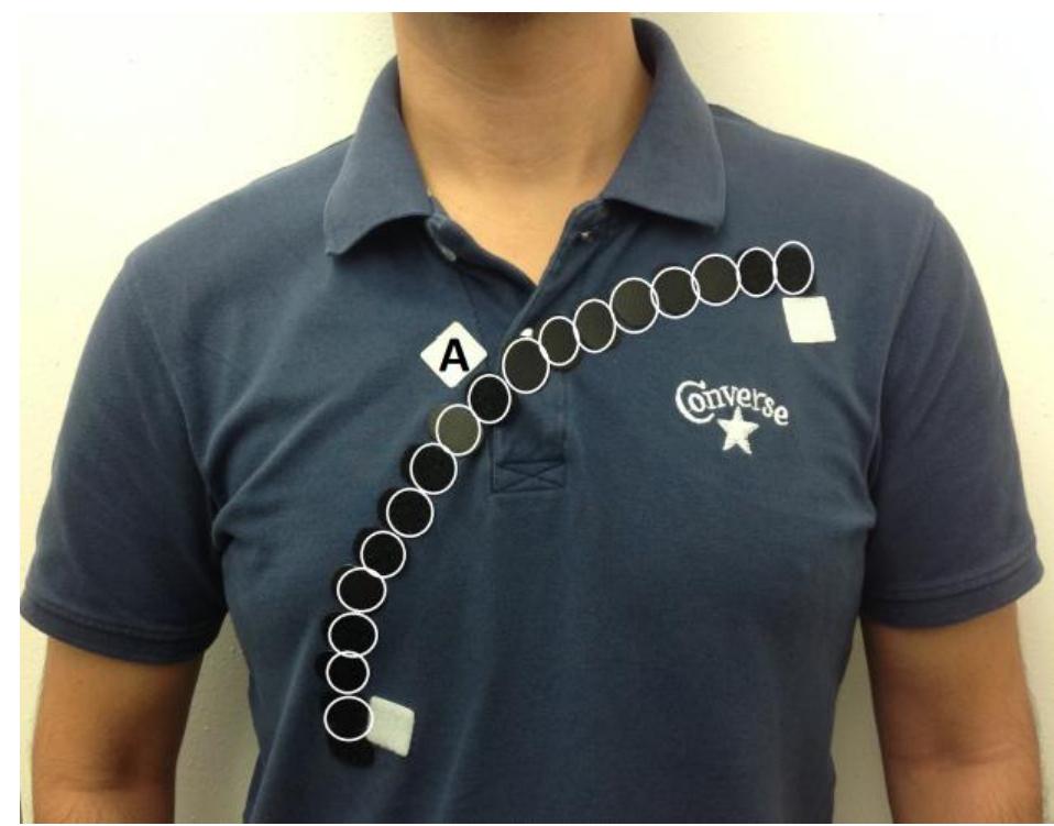 Different positions used for arm position detection test
