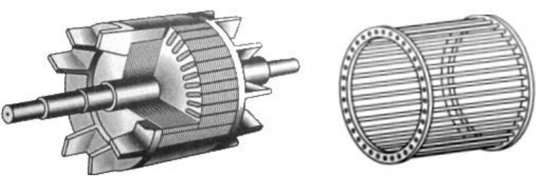 Formation of rods, which are short-circuited by end rings.
