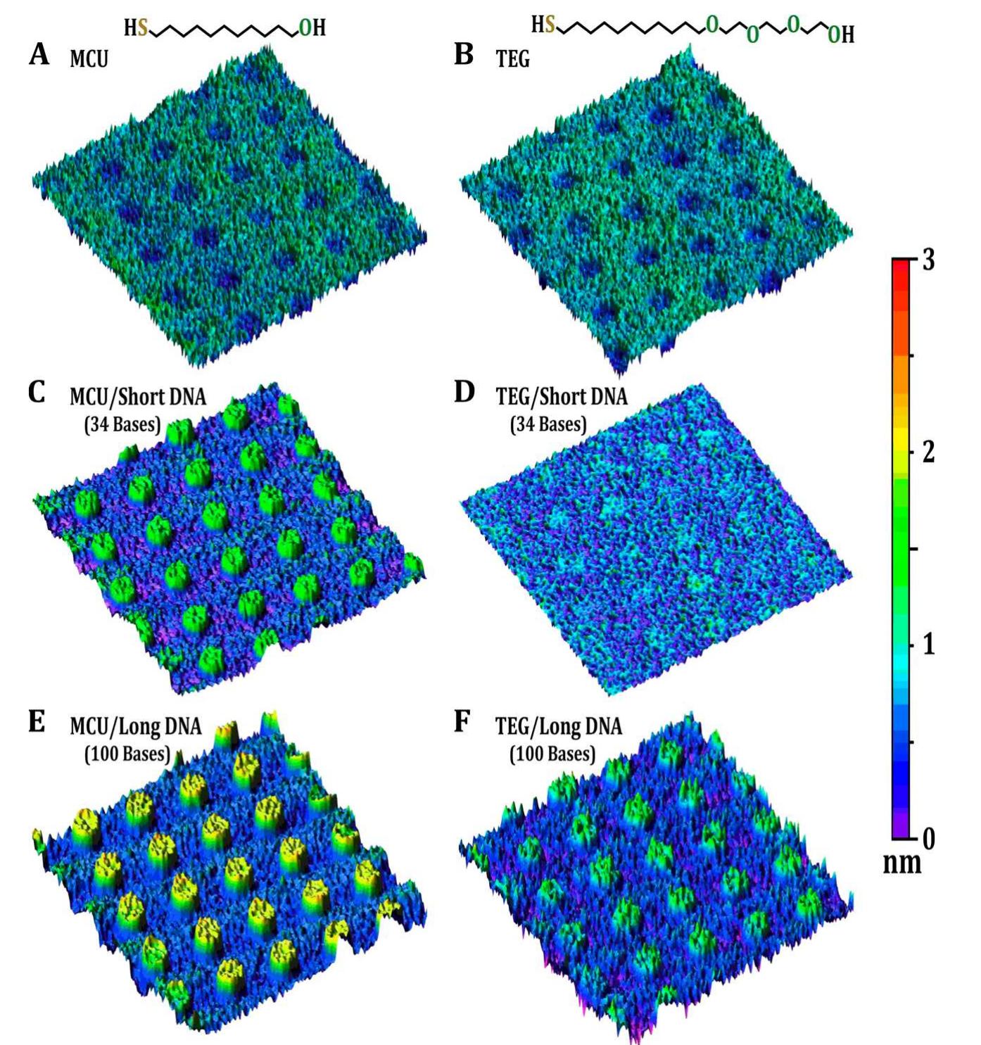 Atomic force microscopy images before and after insertion