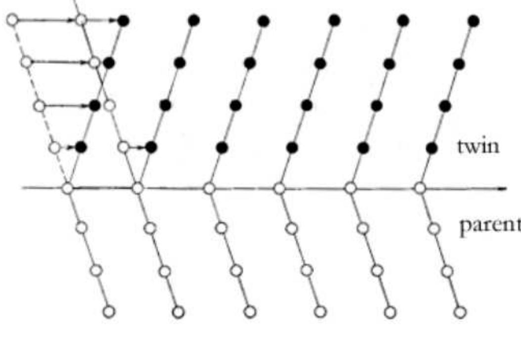 Schematic of twinning in a crystalline material. the twinned