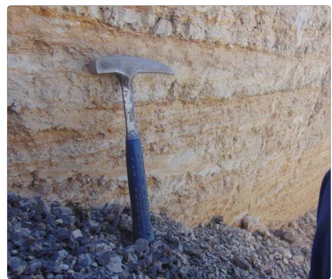 Plate 7. laminated siltstone and fine sandstone facies south