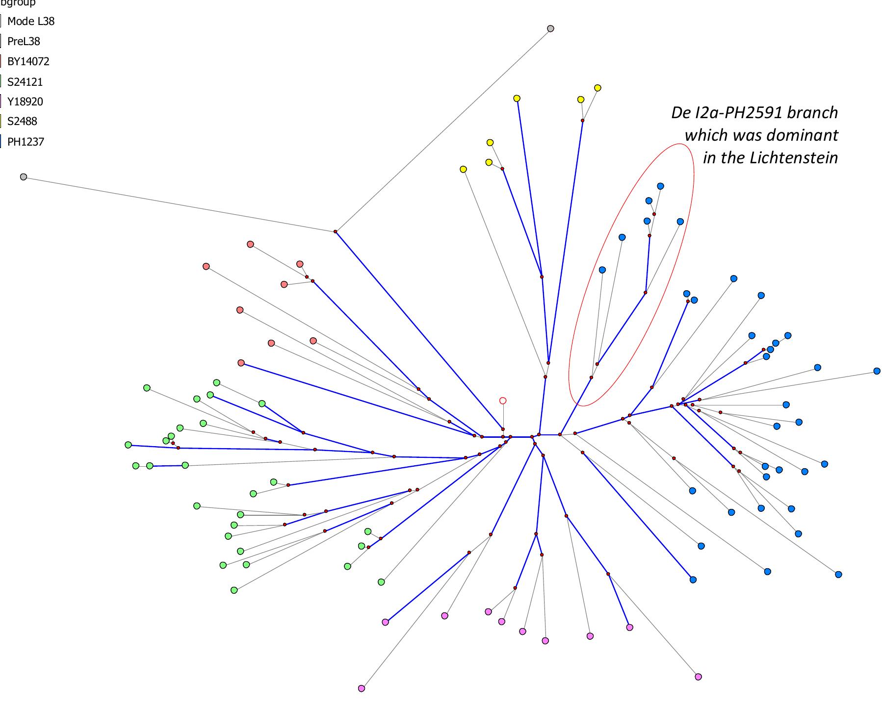 Phylogenetic network of 179 strs and 72 snps depicting the