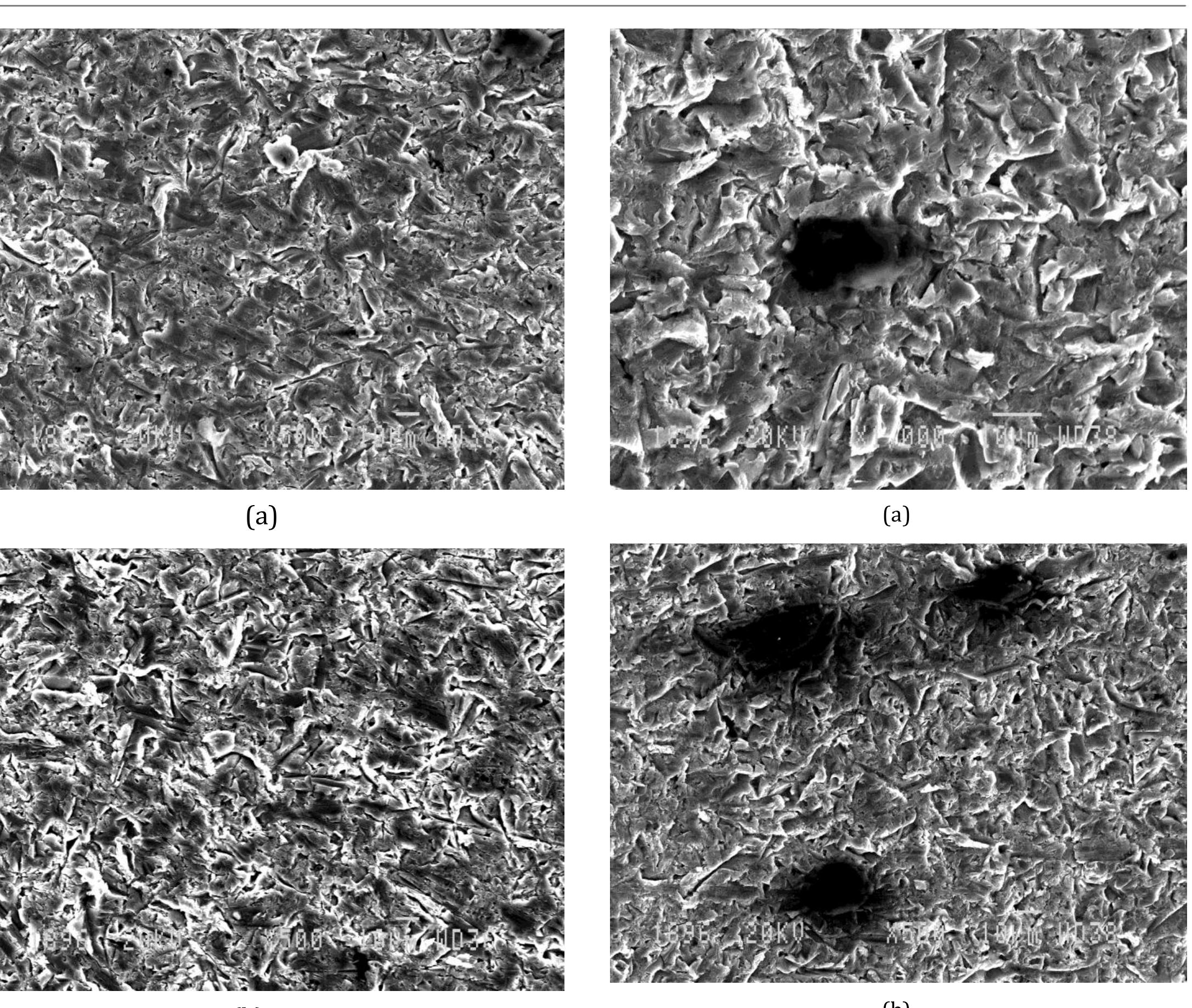 Transverse cross section of ®7.6 mm rod (a) specimen 1, (b)