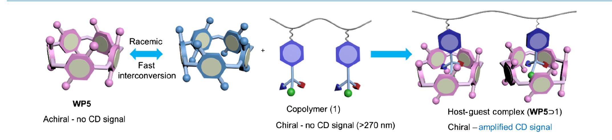 | schematic diagrams of the plausible mechanism of chirality