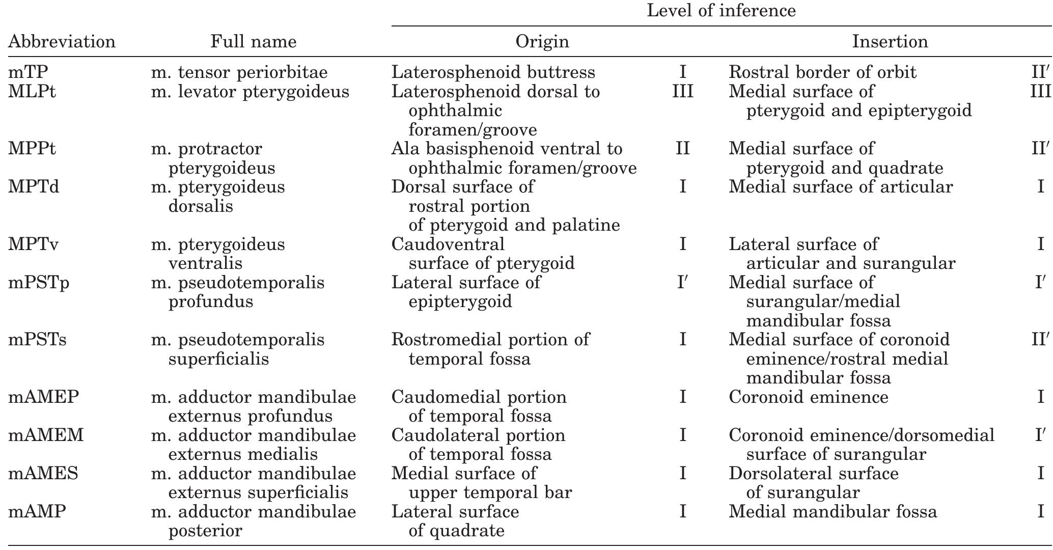 The jaw muscles of extant and extinct sauropsids coupled