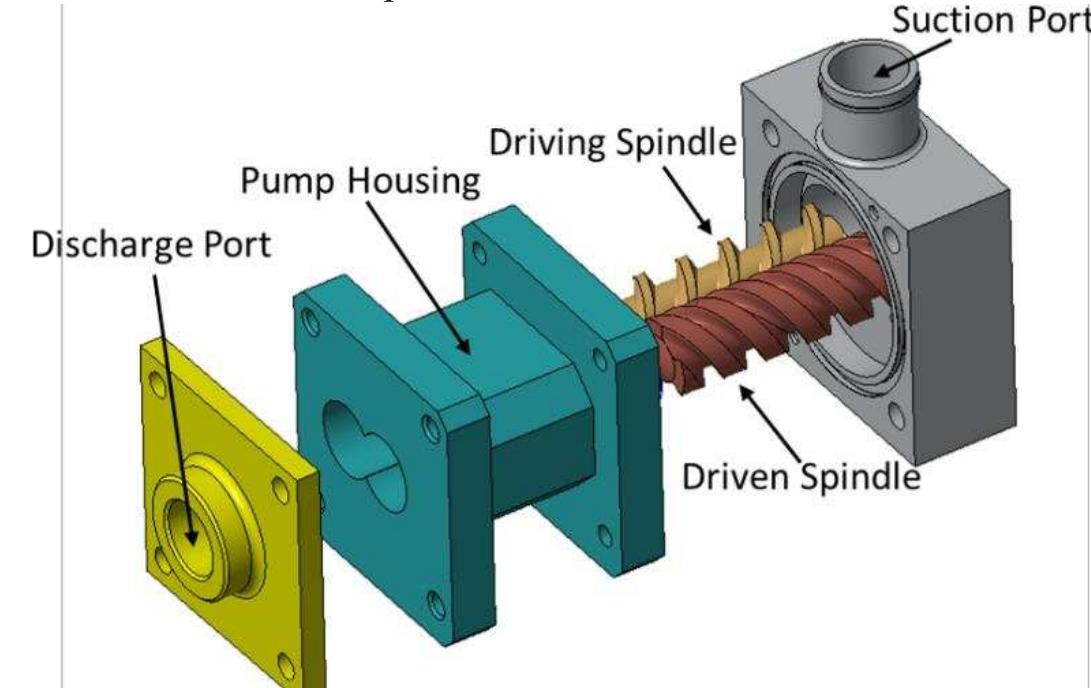 A twin-screw pump is investigated; an exploded view of one