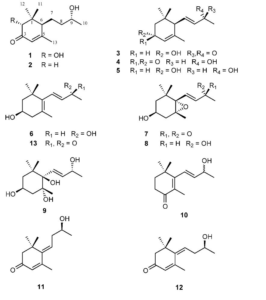 Figure 1 - from Structure elucidation and phytotoxicity of