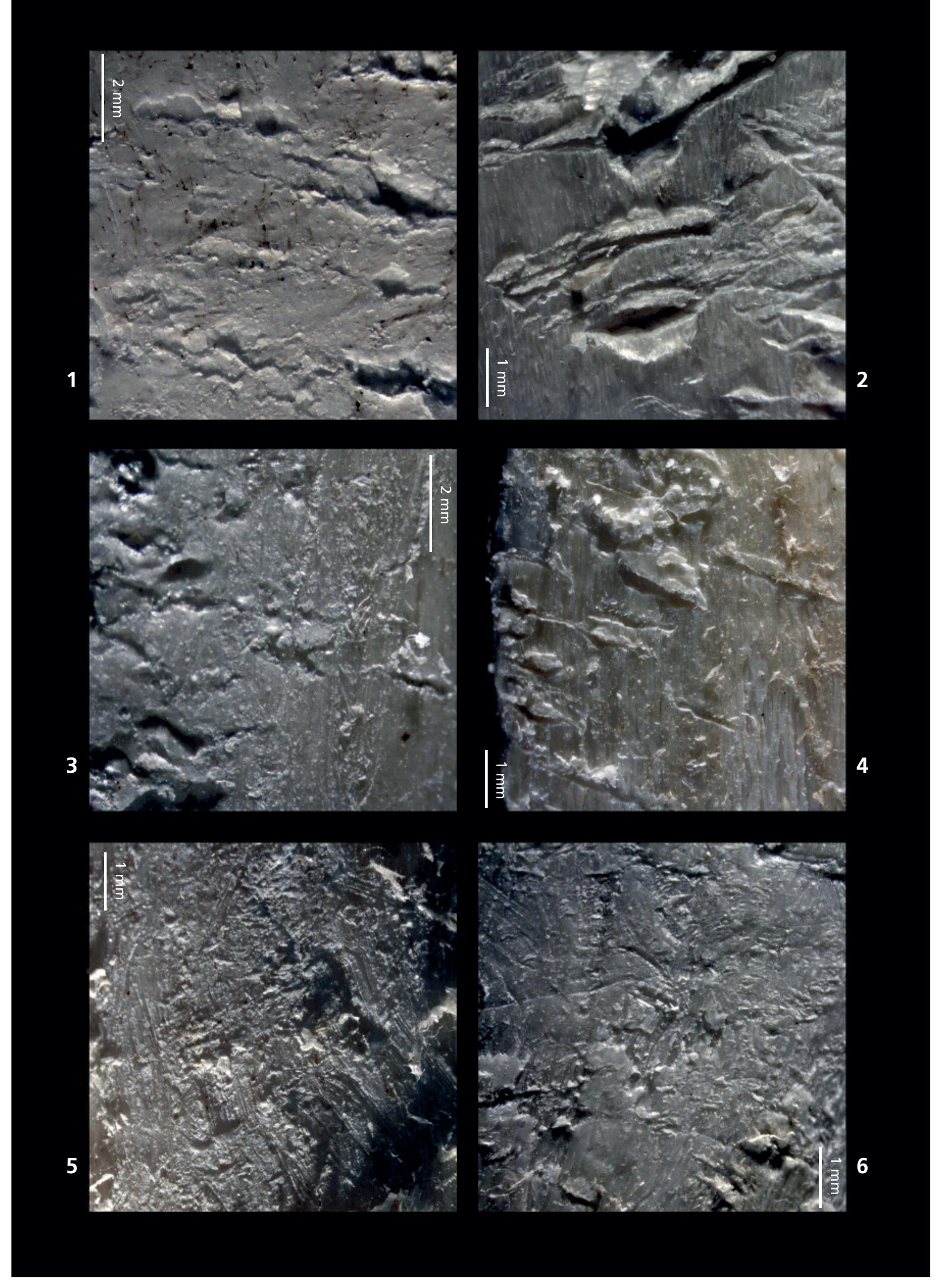 Low magnification images of use traces from different