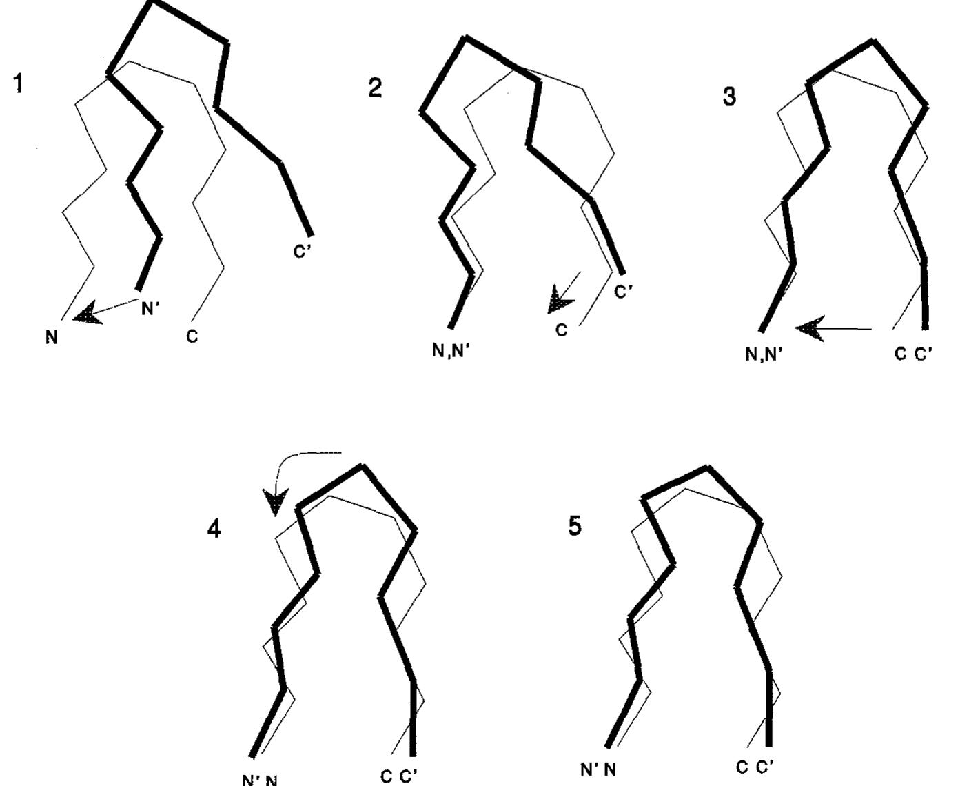 The four stages of the overlap procedure. (1) for the loop