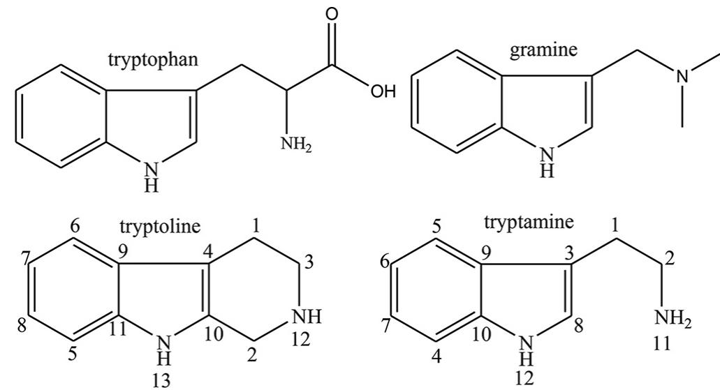 Chemical structures of tryptophan, tryptamine, tryptoline,