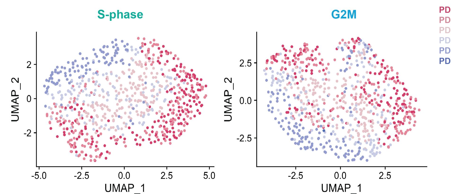 S6: single cell umaps of mitotic cells. (a) s phase and g2m