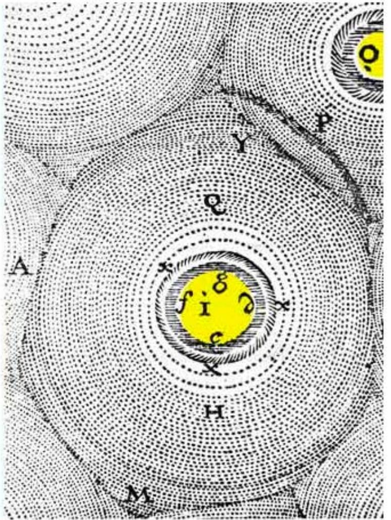 B. path of a comet through celestial space according to