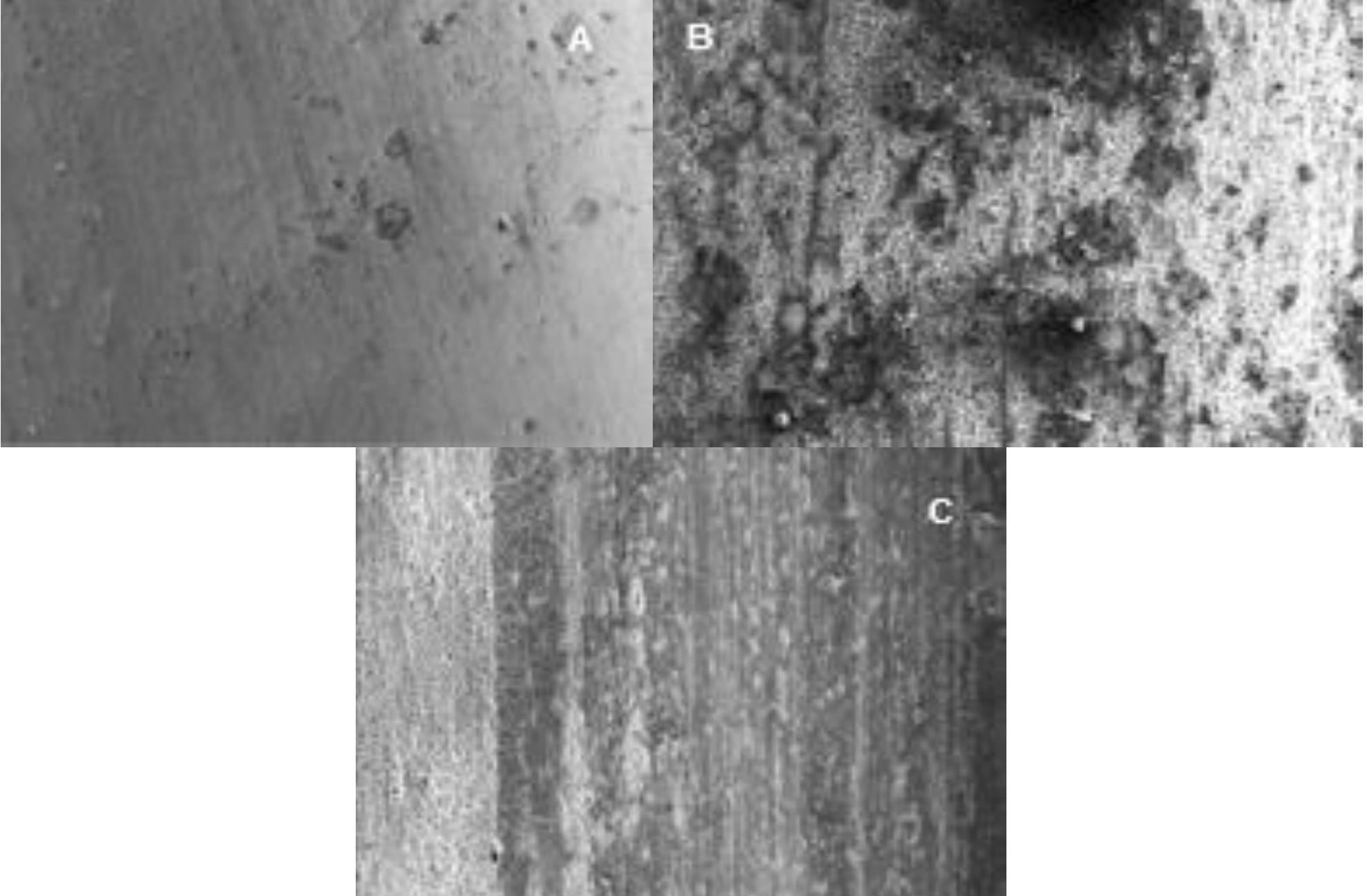 Sem images of al surface: before immersion (a), after 1h of