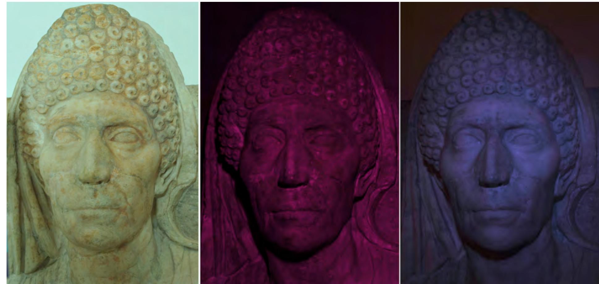 From left to right, photographs of myrtale (anmichaelis.155)