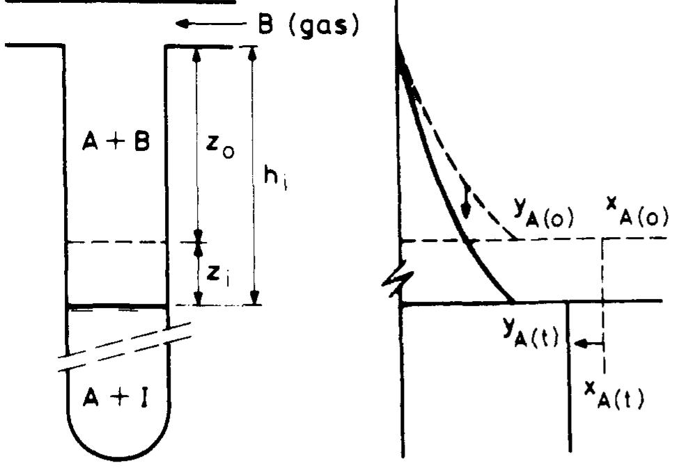 Coordinates scheme and concentration profile. equation 1
