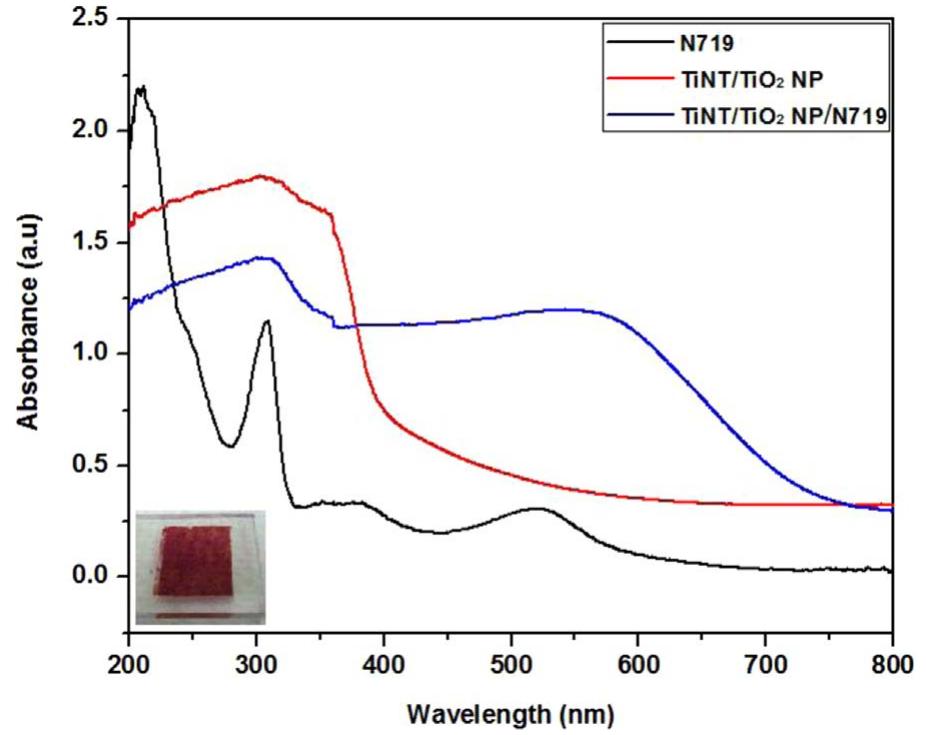 Uv-vis absorption spectrum of n719 dye, tint/tio2 np and