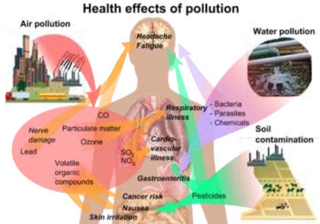 Schematic representation of effect of pollution on human