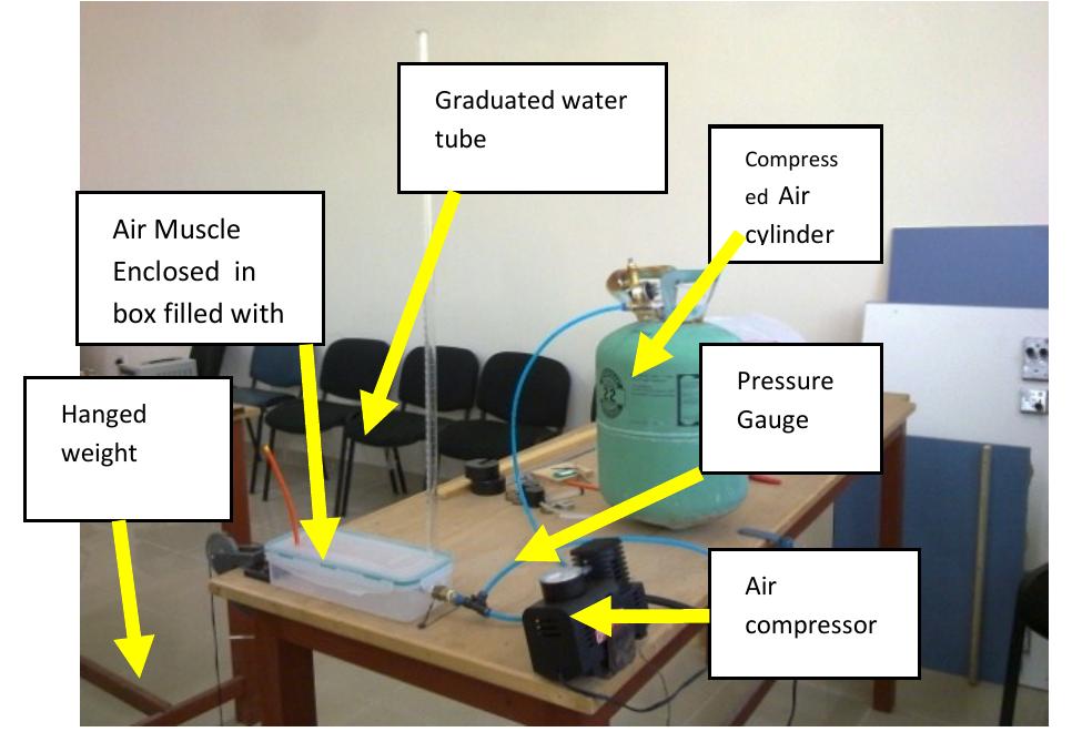 To conduct the test, air muscle is kept in the plastic