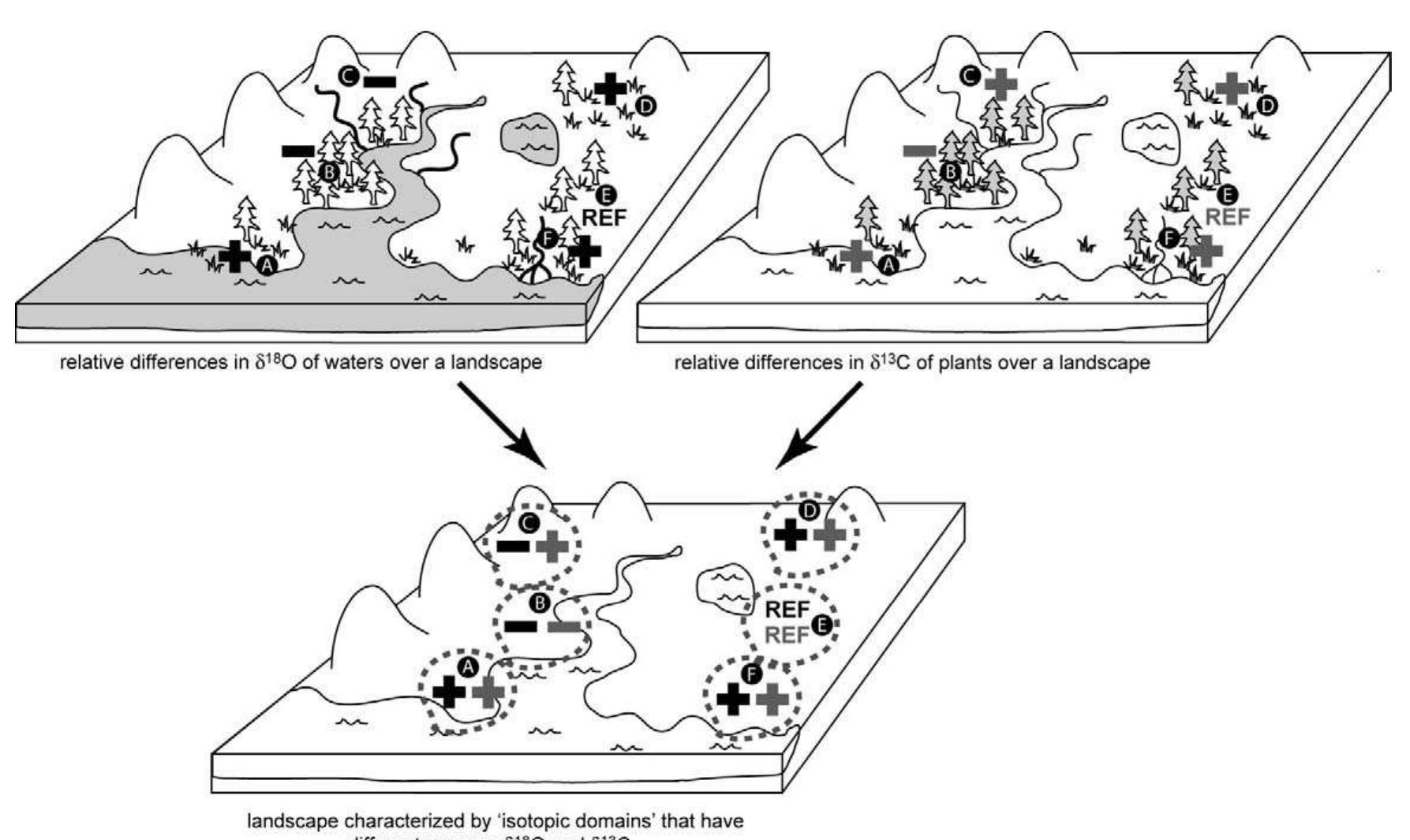 Schematic illustration of how different parts of a single c3