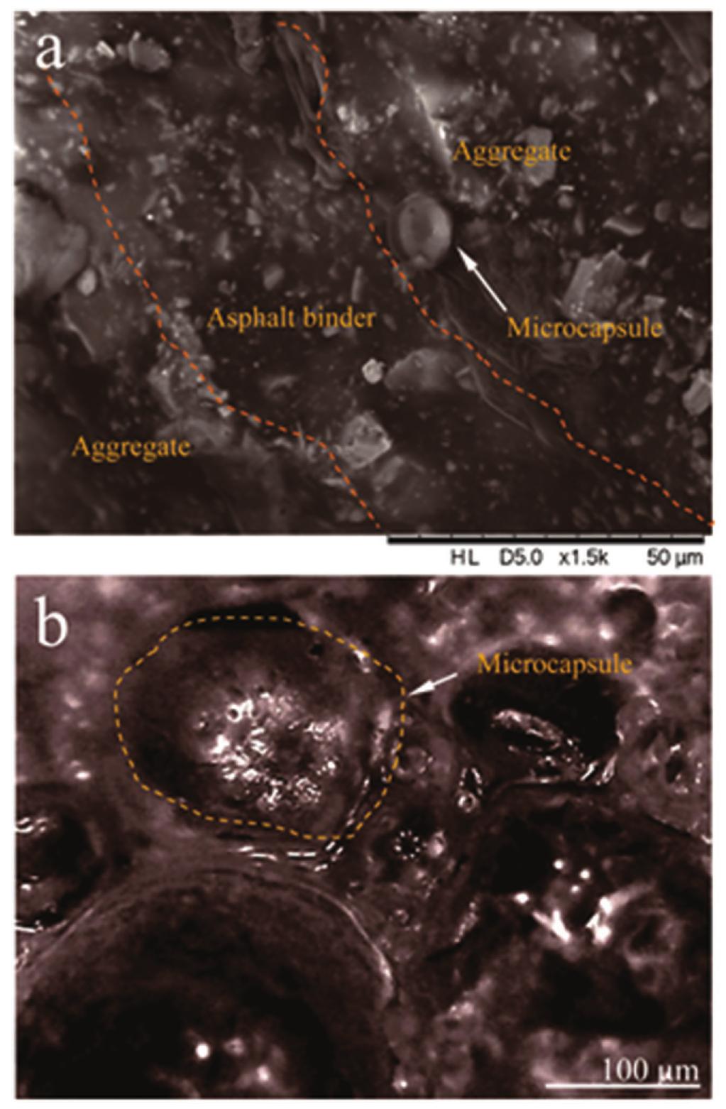 Microstructure morphologies of microcapsules in asphalt