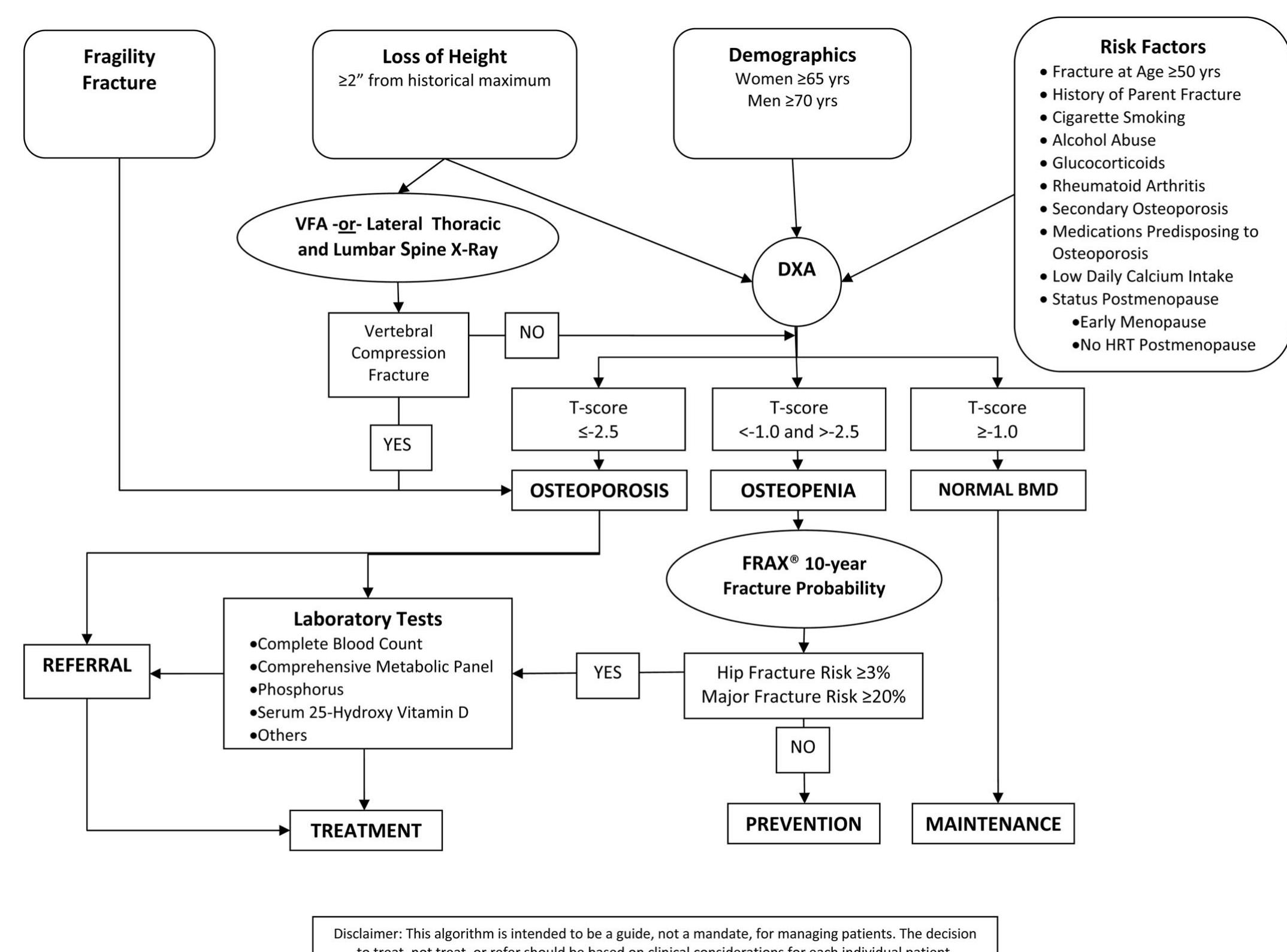 Osteoporosis algorithm. vfa, vertebral fracture assessment;