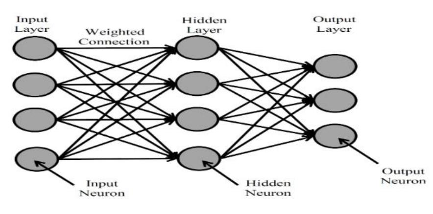 Basic structure of an mlpnn the basic structure of the mlpnn