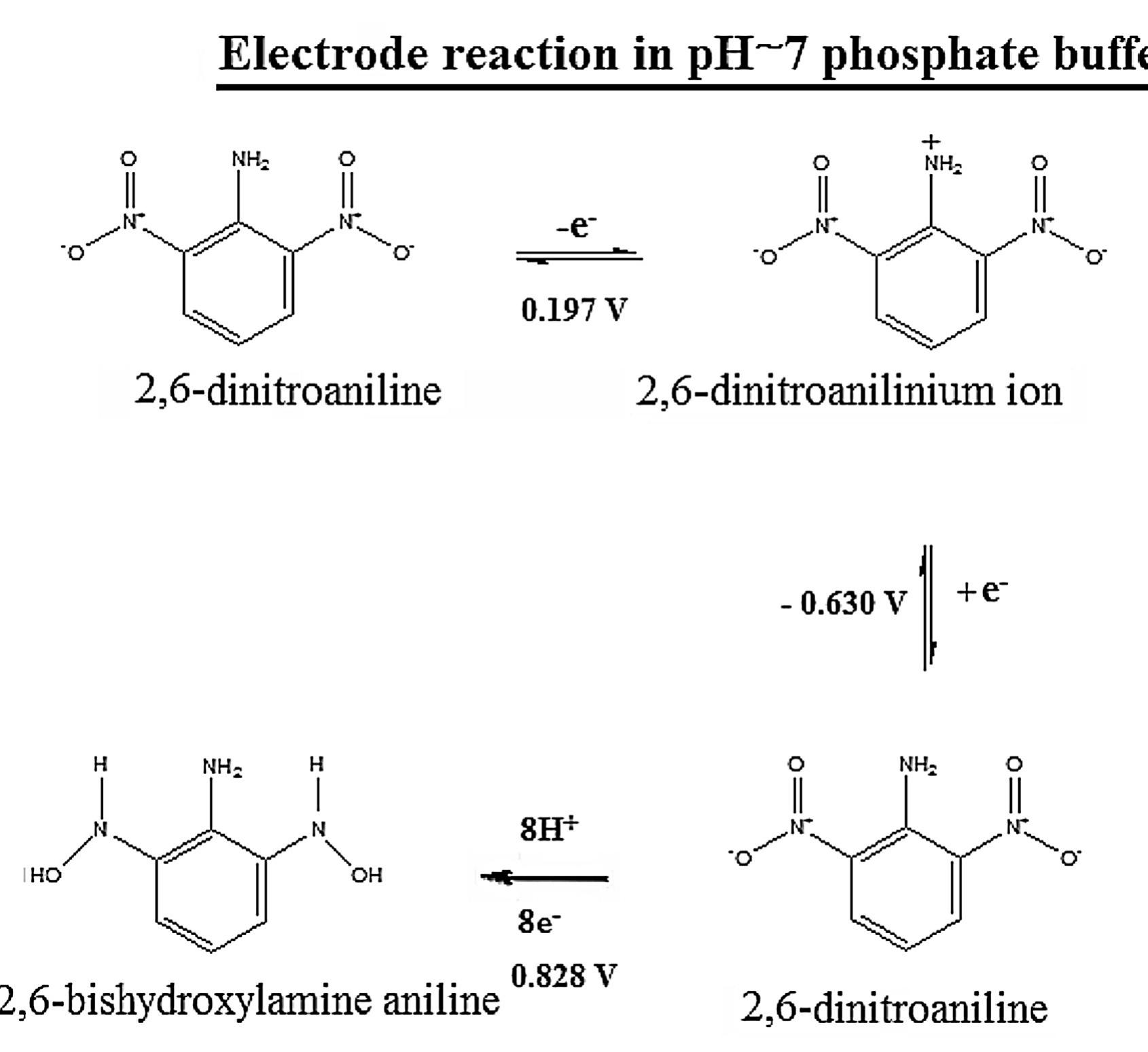 Reaction mechanism of 2,6-dna in ph ~ 7 buffer solution at