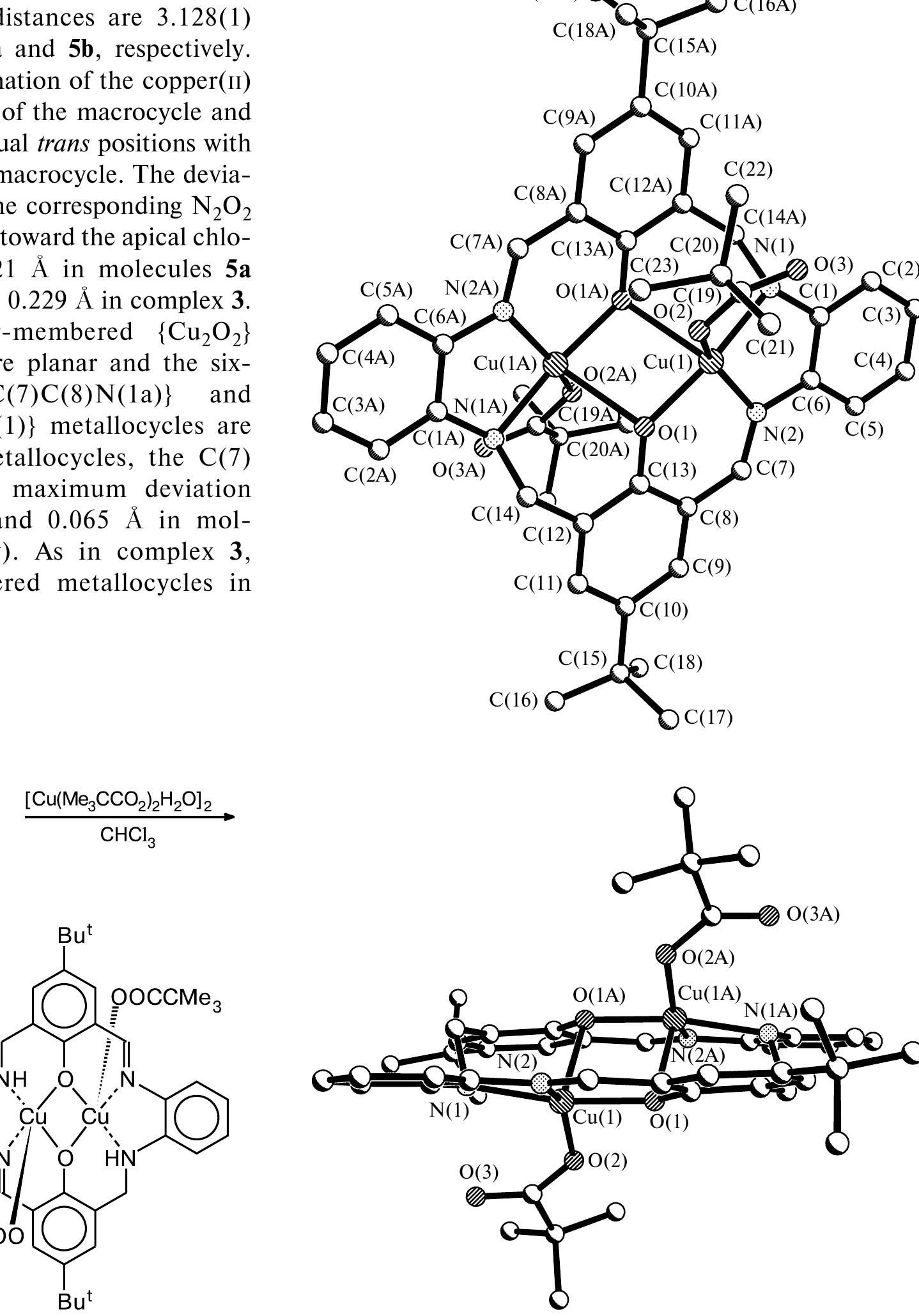 Molecular structure of complex 7 in two projections.