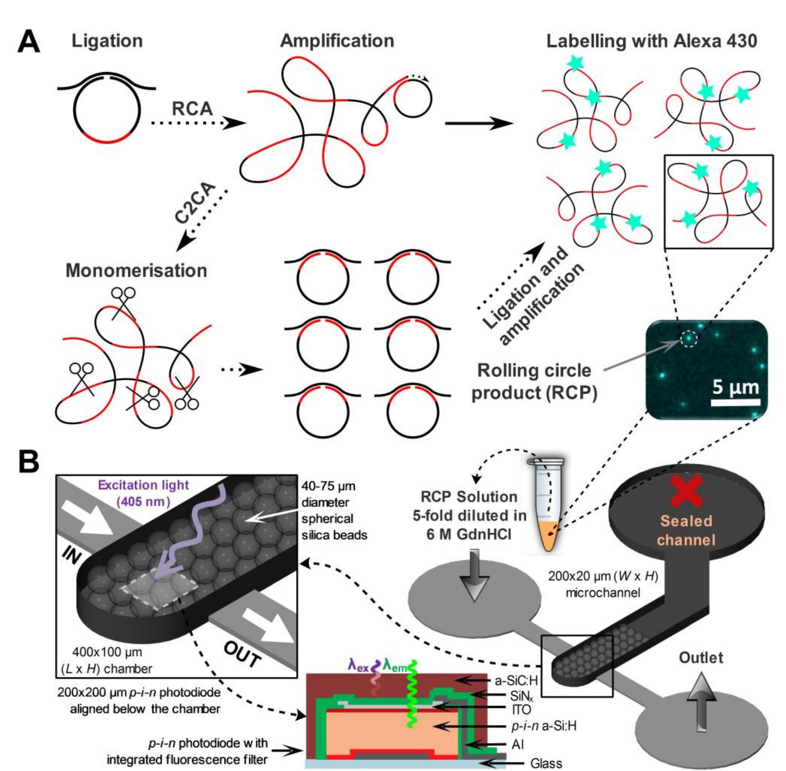Schematics of the off-chip target detection and
