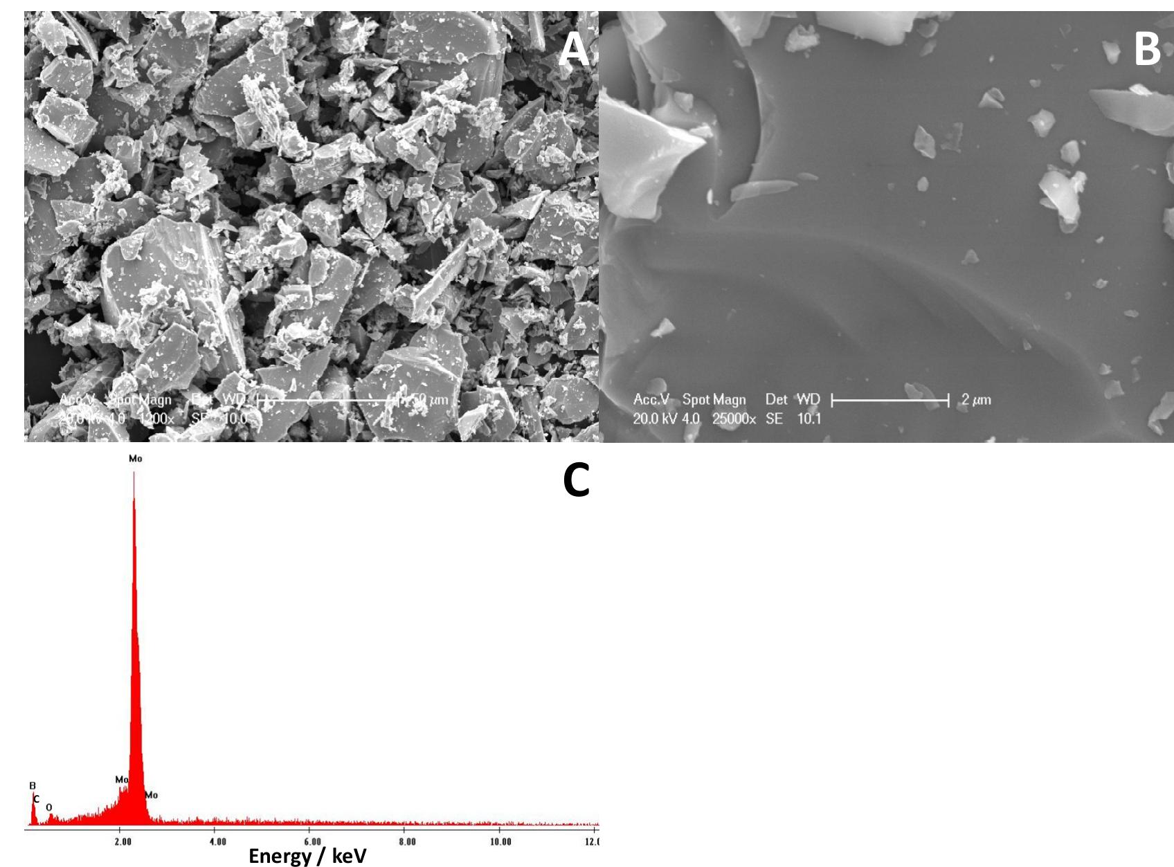 Sem images of b-mob with a magnification of (a) 1200, (b)