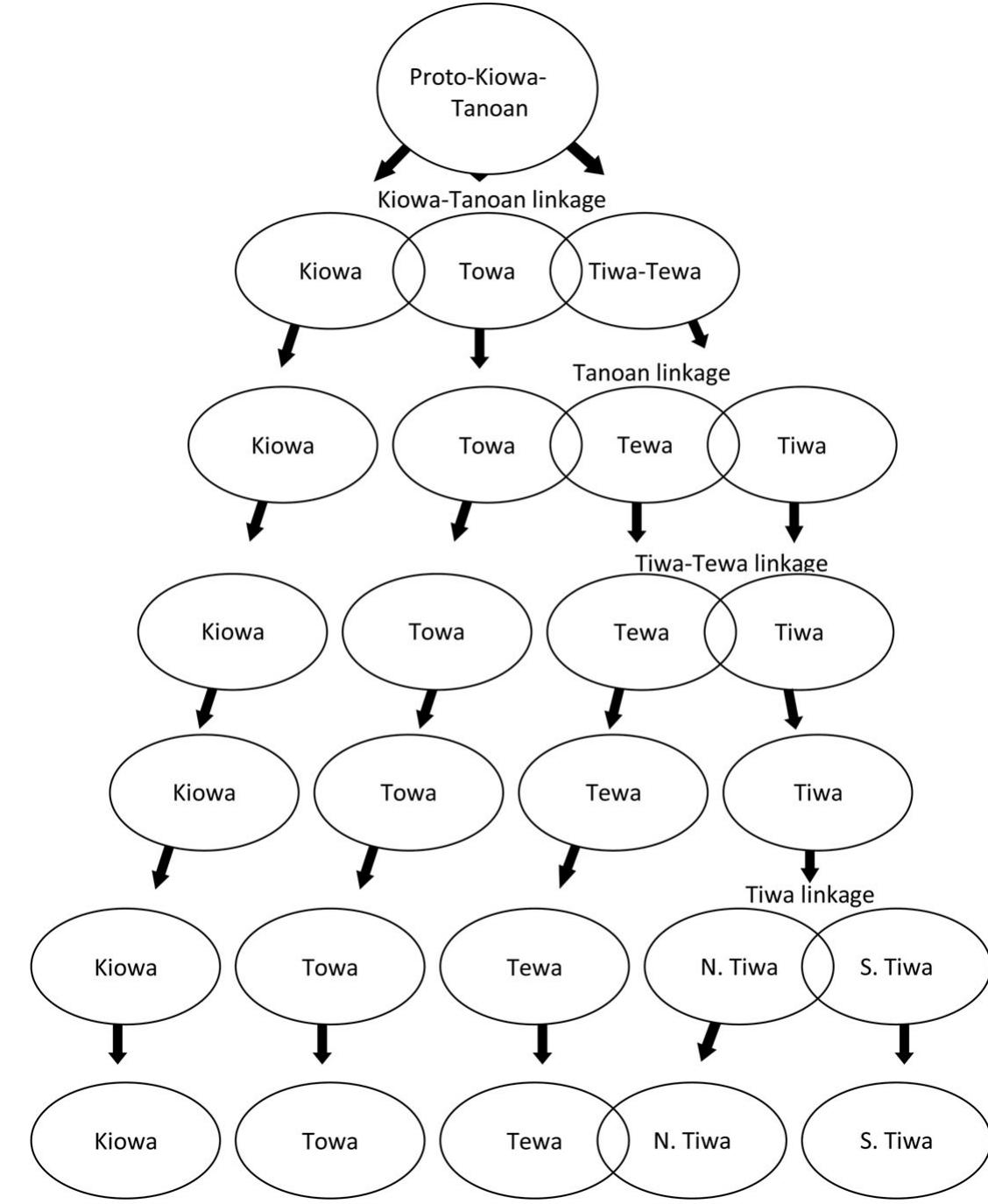 Shape early in the history of the language family and were