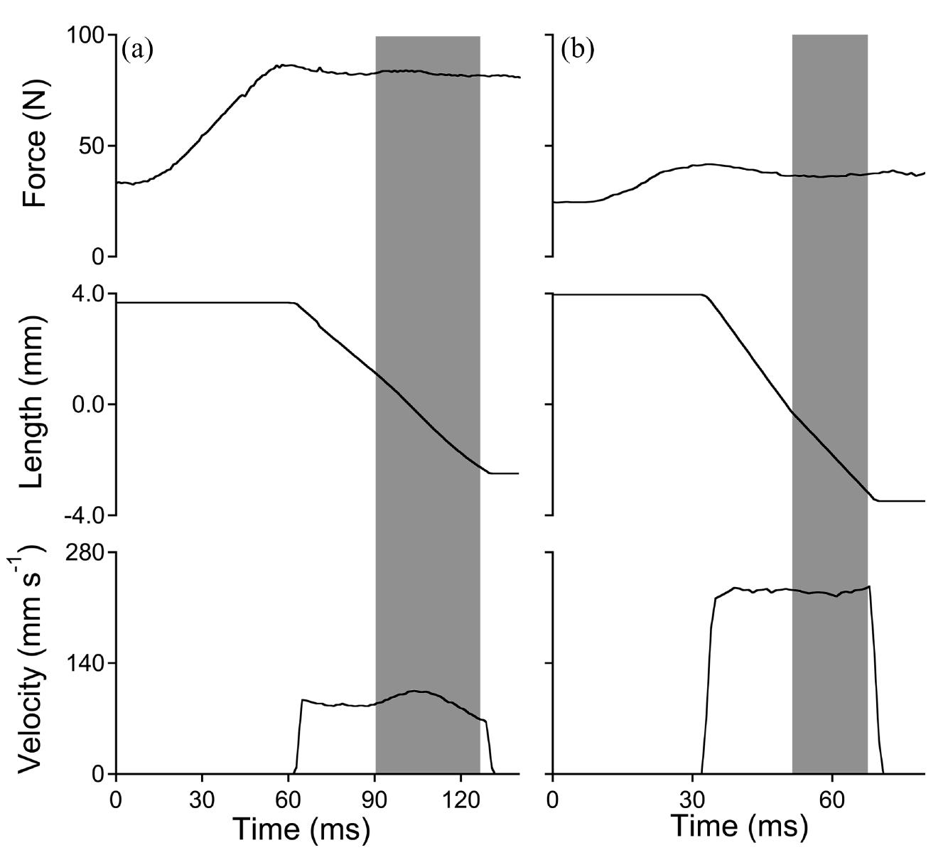 Representative measurements for two individual contractions