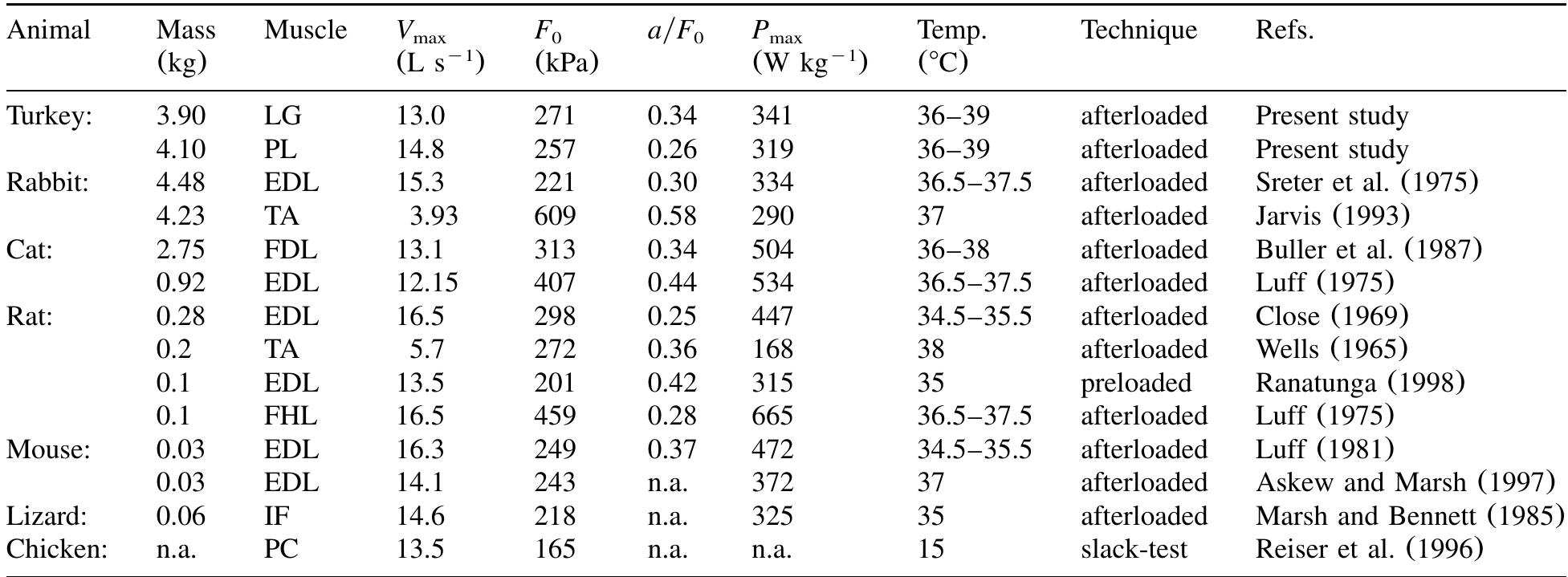 Edl, extensor digitorum longus; ehl, extensor hallucis