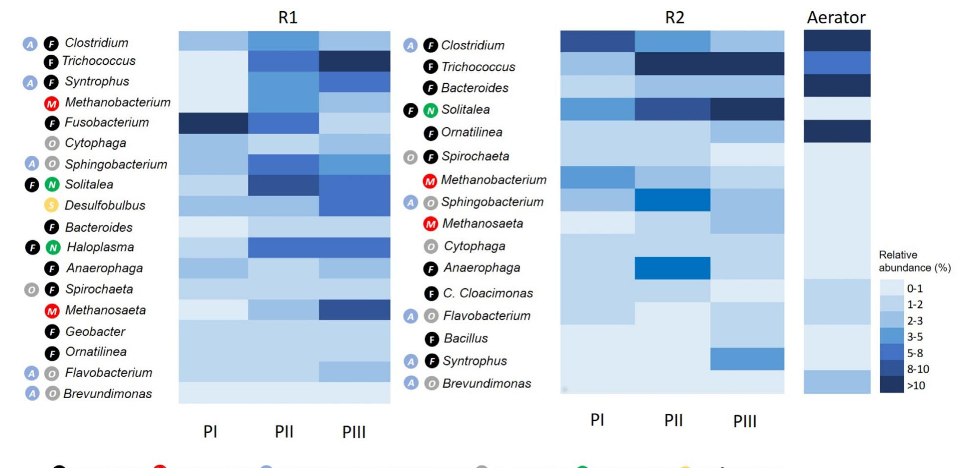 Heatmap representing the core microbiome (ra of 0.5% or